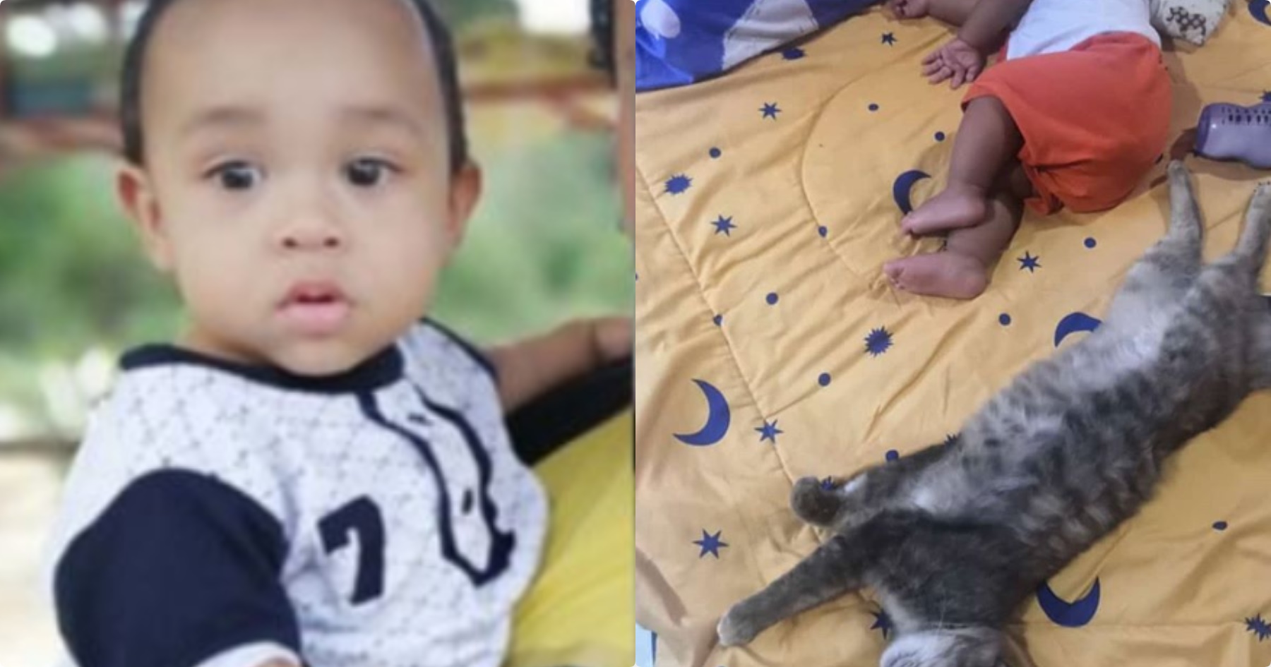 Kucing Datang Tiba2 Di Kediaman Abam, Teman Anak Tidur Sejak Arw4h ...