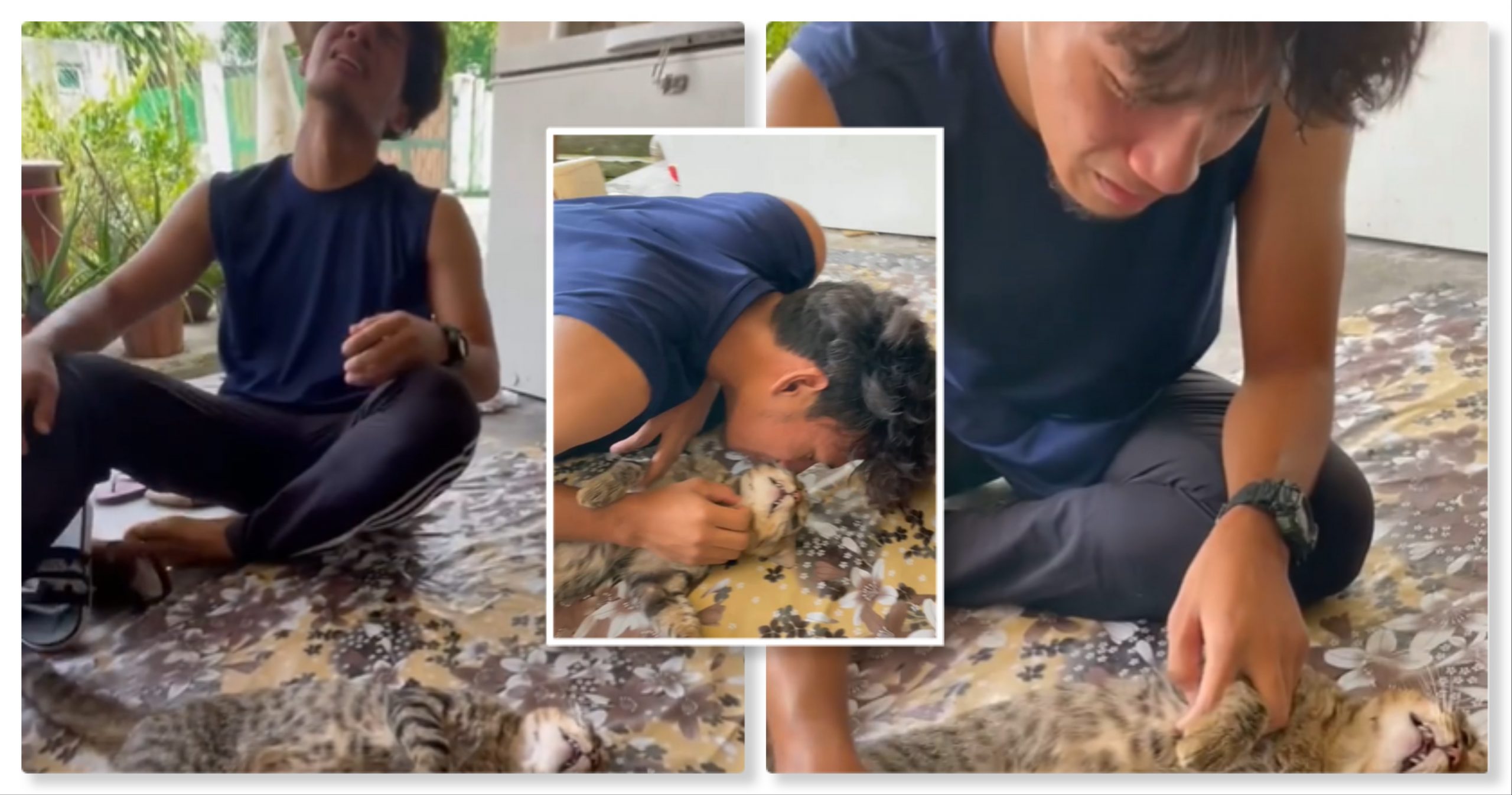 Hanya Pencinta Kucing Je Faham -“Lelaki Pun Boleh Mer4ung, MeIaIak ...